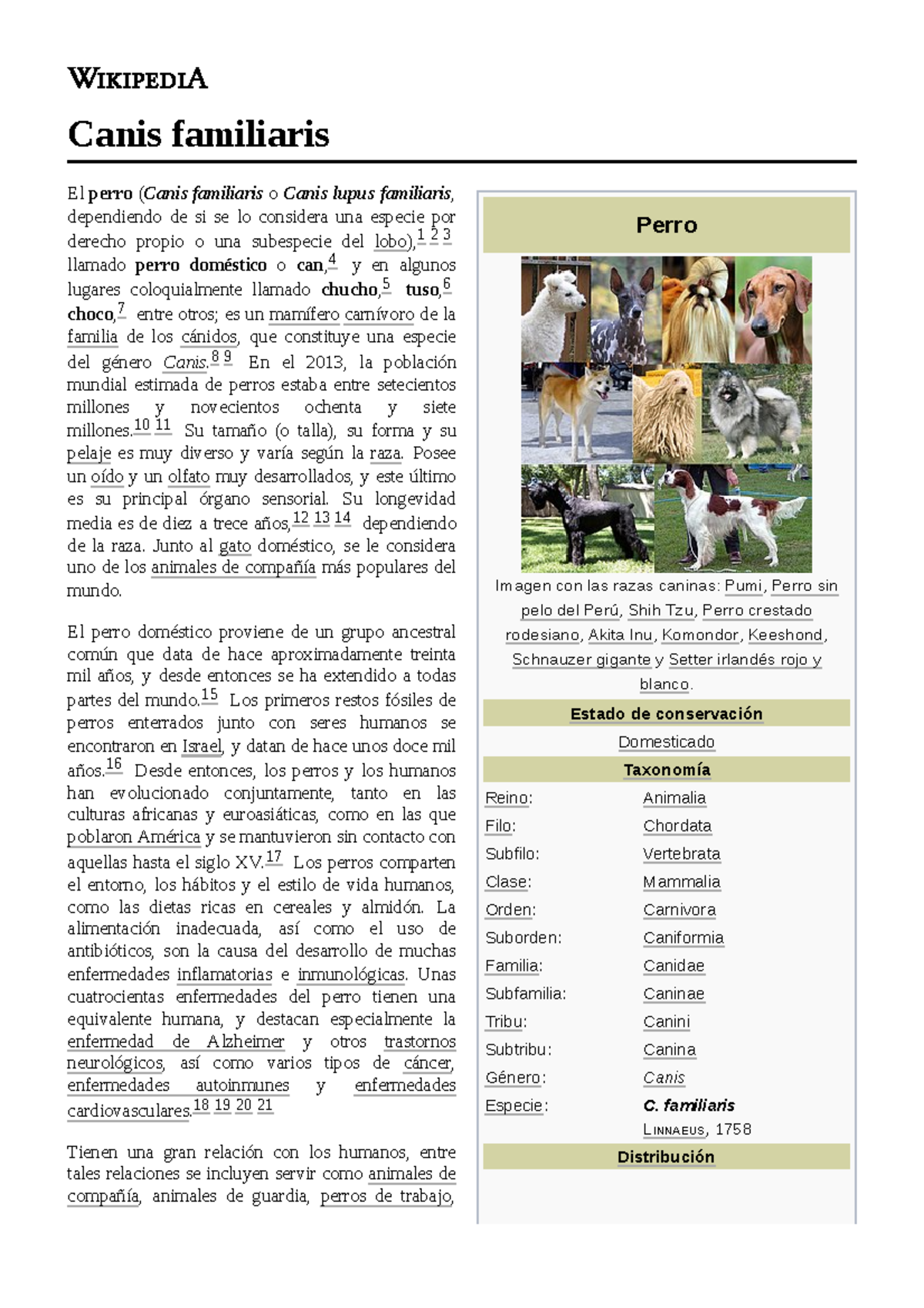 Canis familiaris - saaaaaaaaaaa - Perro Imagen con las razas caninas ...