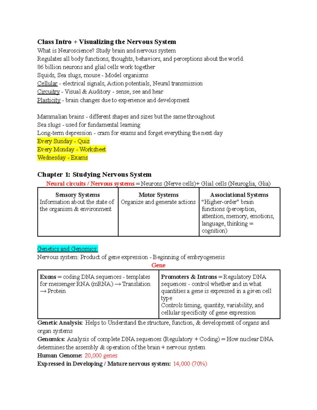 NEUR306- Lecture 1 - 01 25 23 - Class Intro + Visualizing the Nervous ...