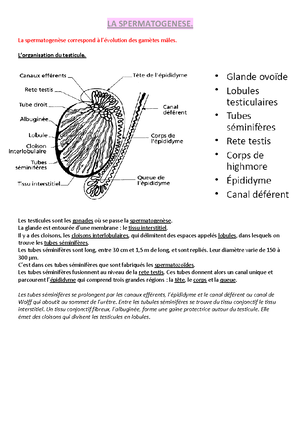 1- Modes de reproduction des animaux - BDR A : Chapitre 1 Mode de ...