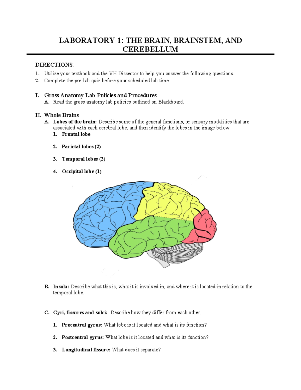 HSCI 102 Lab 1 Pre-Lab Worksheet - LABORATORY 1: THE BRAIN, BRAINSTEM ...