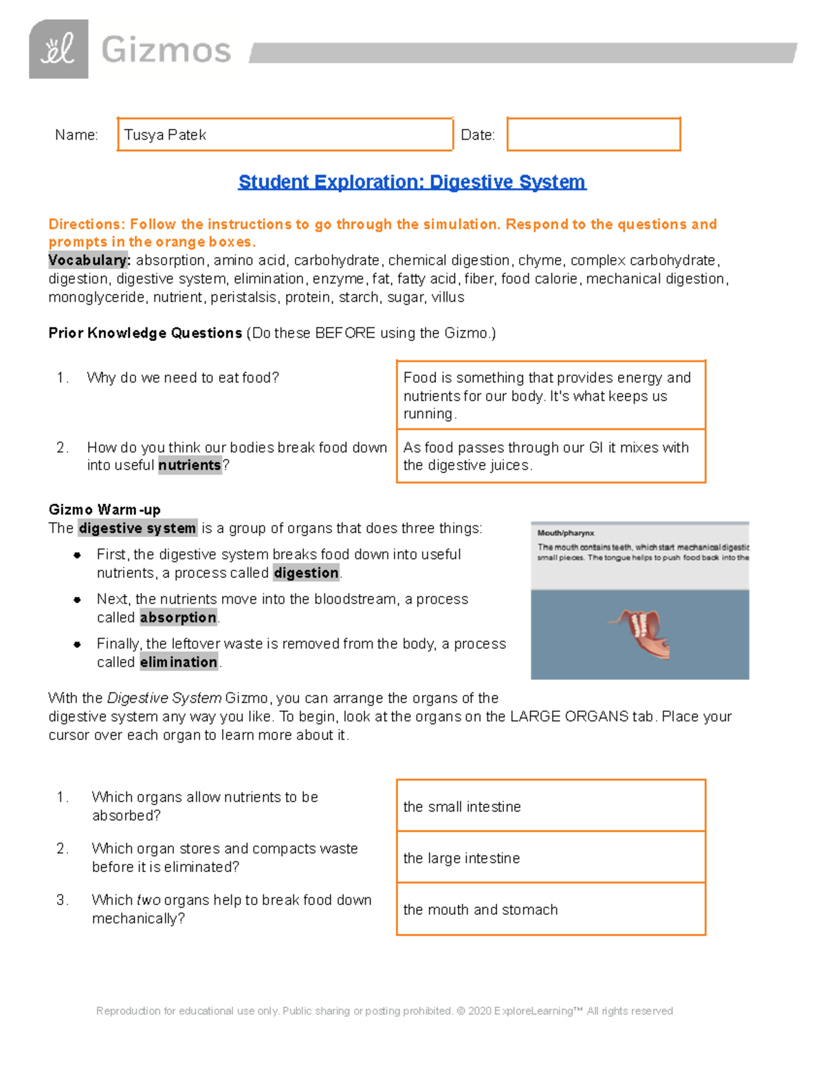 Copy of Tusya Patel - Digestive System Gizmo - Name: Tusya Patek Date ...