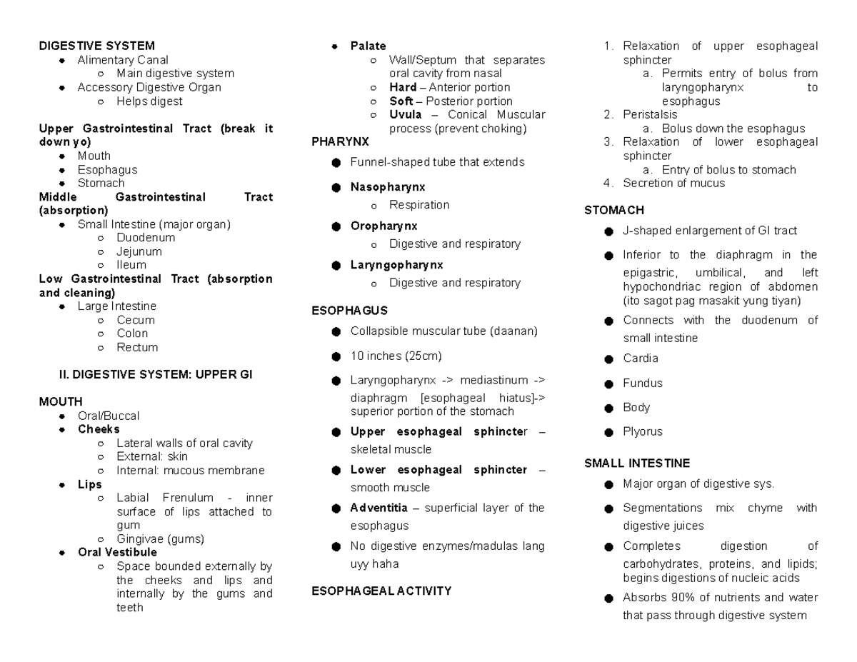 Digestive system - DIGESTIVE SYSTEM Alimentary Canal Main digestive ...