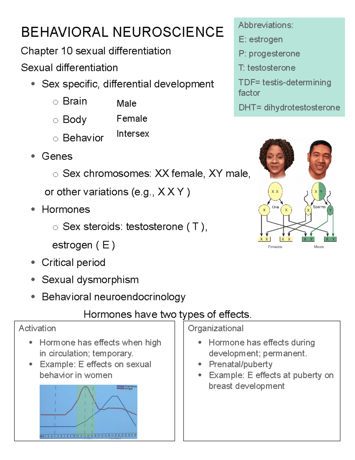 Behavioral Neuroscience - BEHAVIORAL NEUROSCIENCE Chapter 10 sexual differentiation Sexual - Studocu