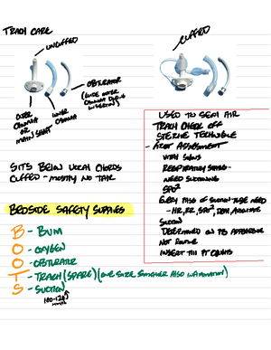 Arterio Venous Worksheet Student - Arterio-Venous Module Lecture ...