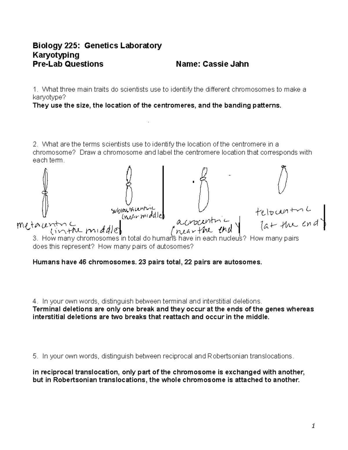 Biology Lab Lite Guide Karyotype at Audrey Brabyn blog