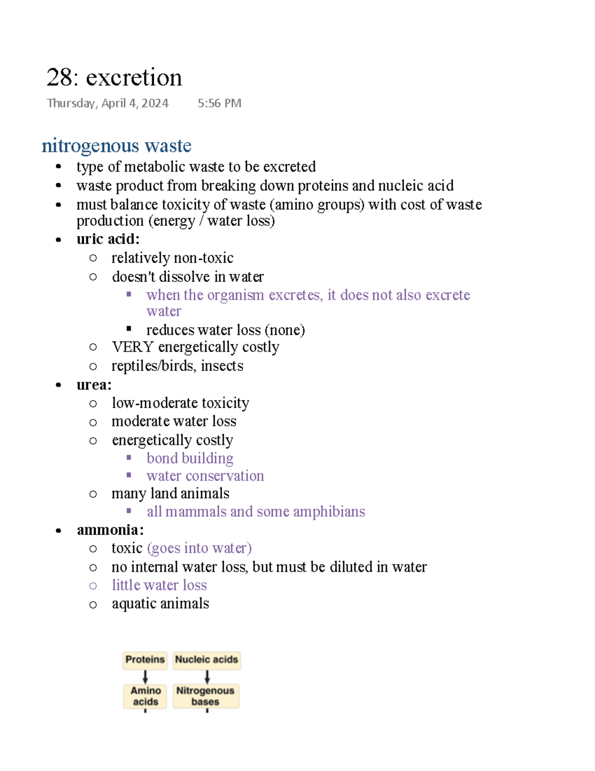 UVA BIOL 2200 Lesson 28 - Excretion - nitrogenous waste type of ...