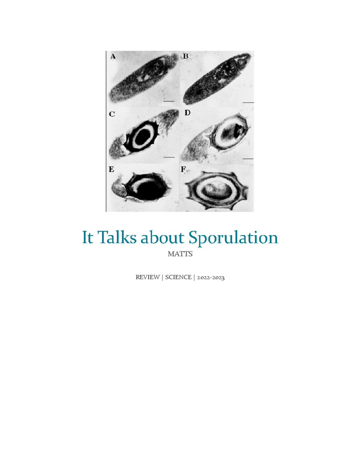 It Talks about Sporulation - It Talks about Sporulation MATTS REVIEW ...