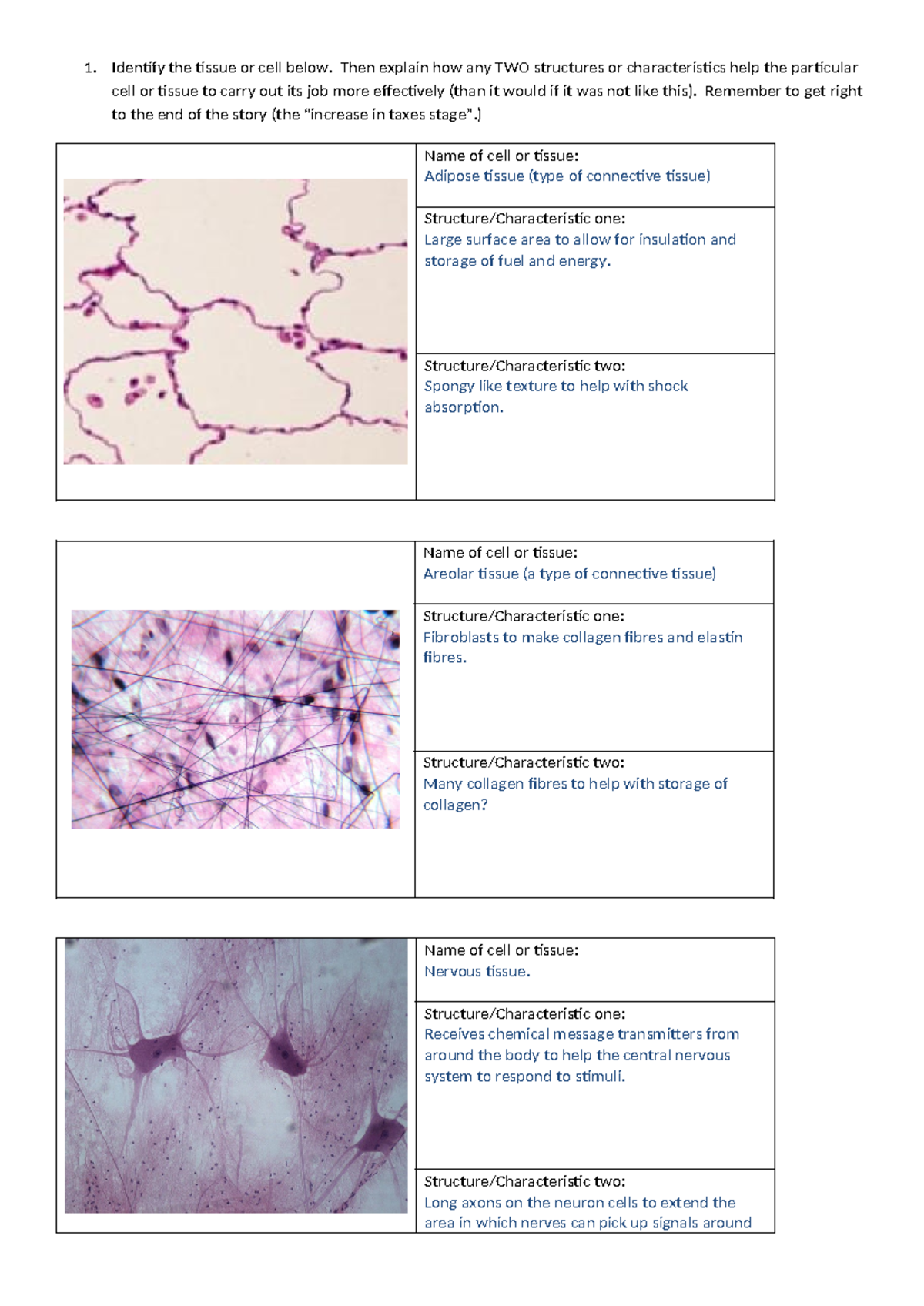 Practice Test Questions for written exam 1 20% - Identify the tissue or ...