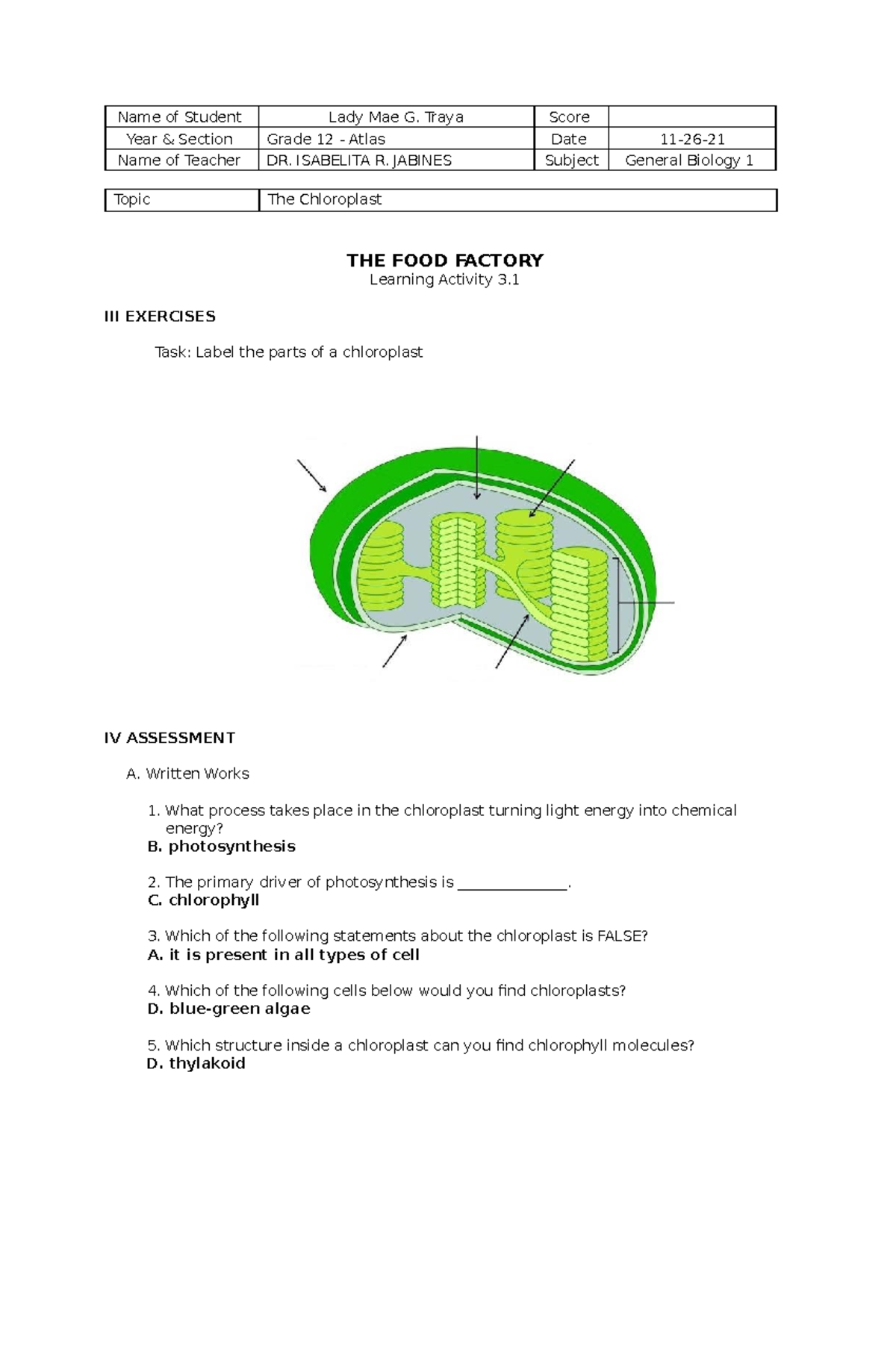 Content 2 - Pigments - Drivers of Photosynthesis - Copy - Copy - Stem ...