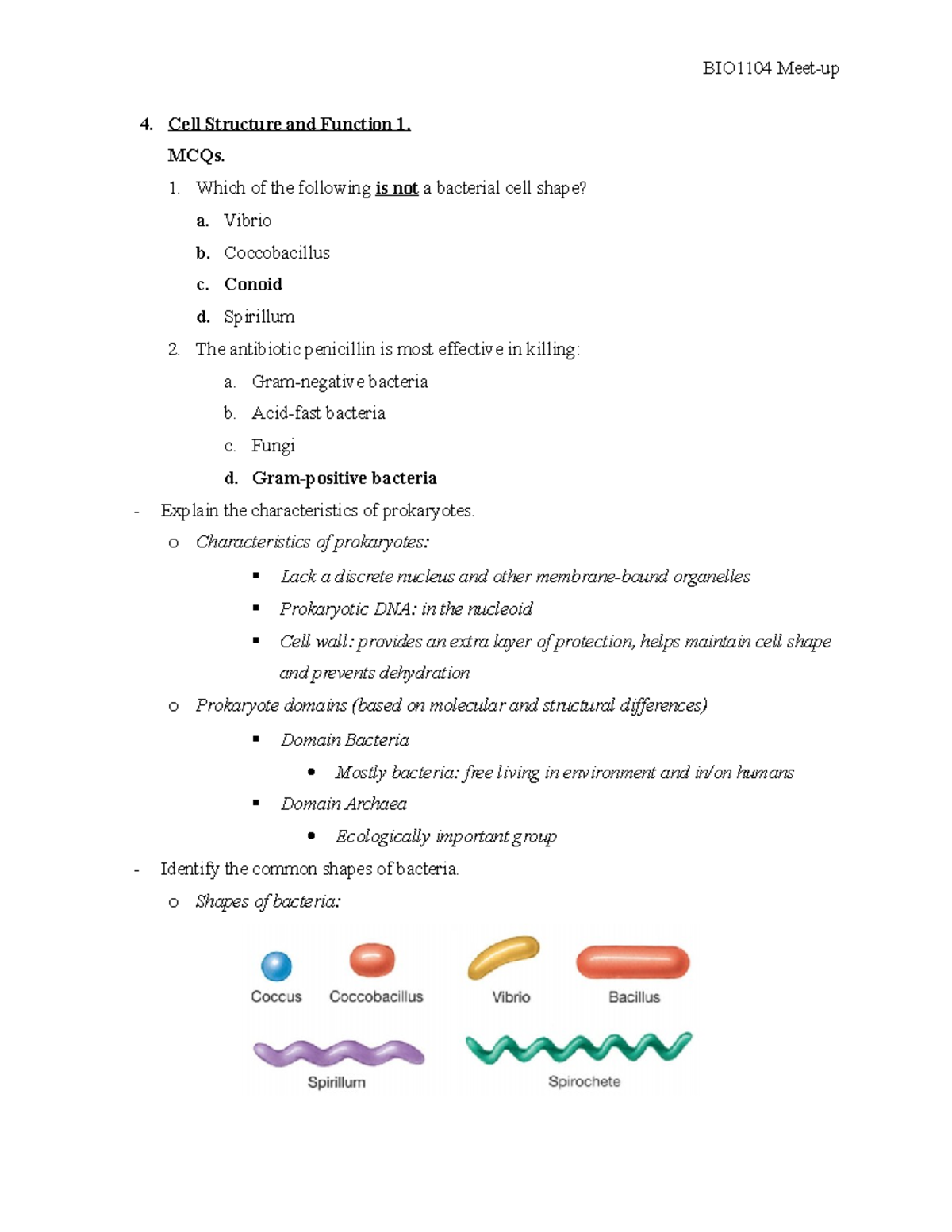 BIO1104 Lecture 4A - 4. Cell Structure and Function 1. MCQs. 1. Which ...