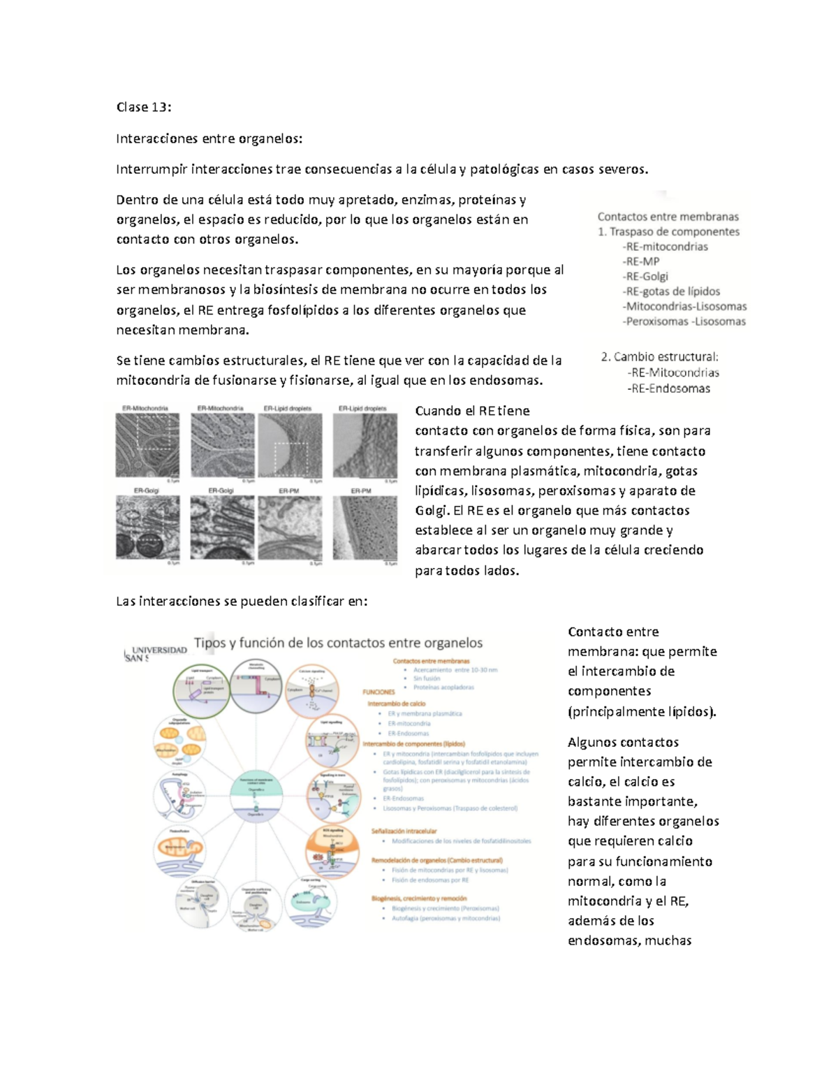 Biocel 01 - clases biología celular medicina - Clase 13: Interacciones entre organelos ...