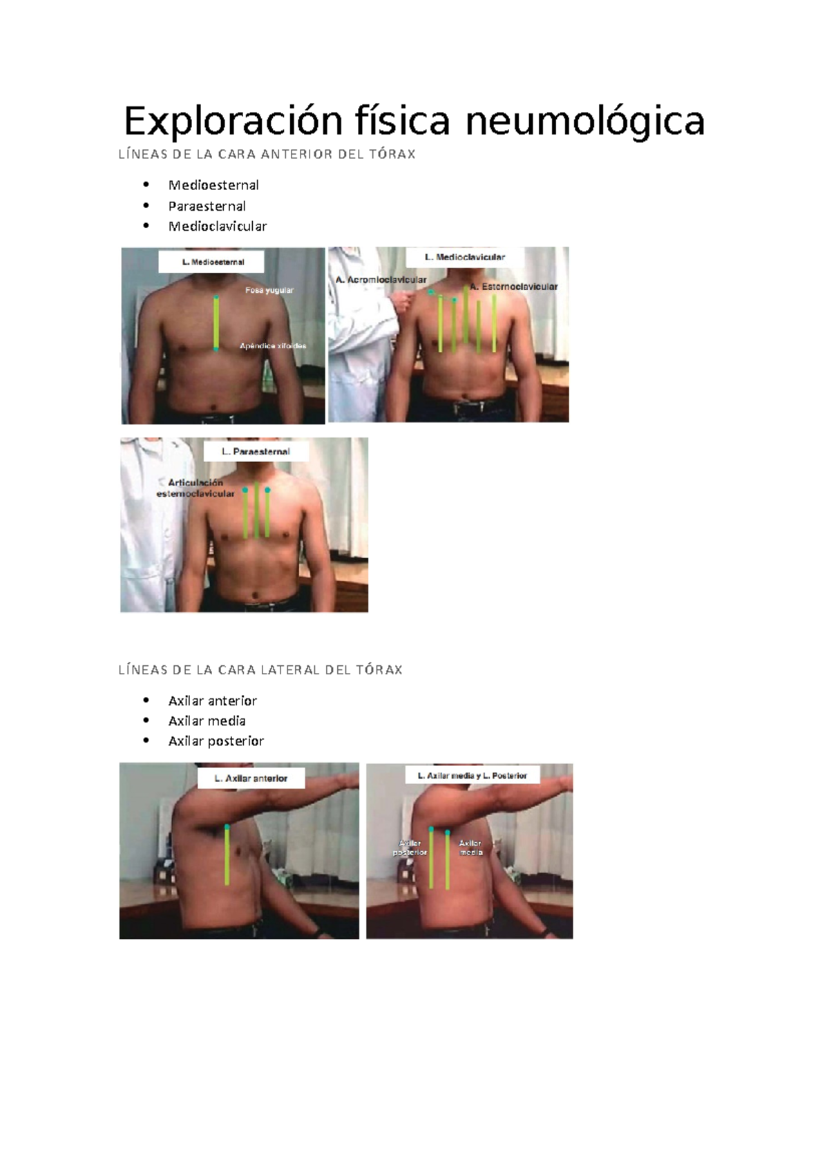 Exploración fisica neumológica - Exploración física neumológica LÍNEAS ...