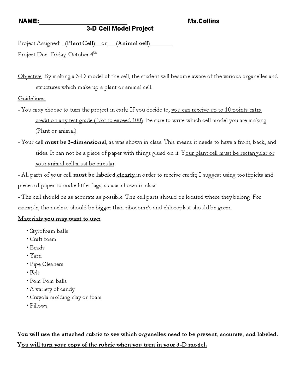 3-D Cell Model Project and Rubric 2024 - NAME ...