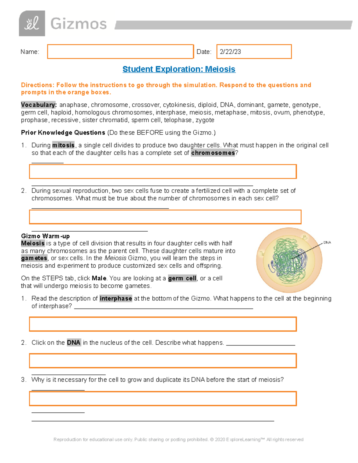 Copy of Meiosis Gizmo - Practice notes - Name: Date: 2/22/ Student ...