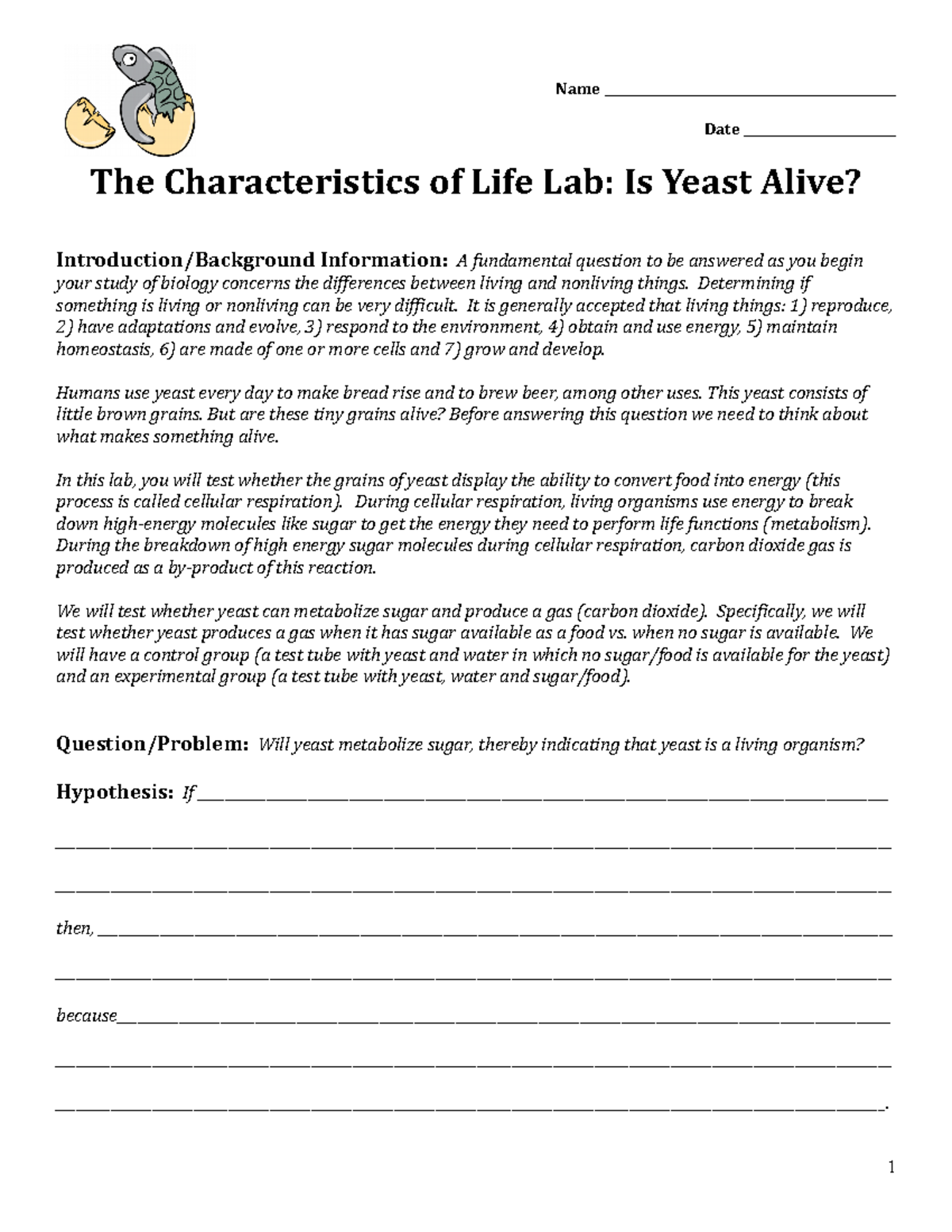 Characteristics of Life Lab - Determining if something is living or ...