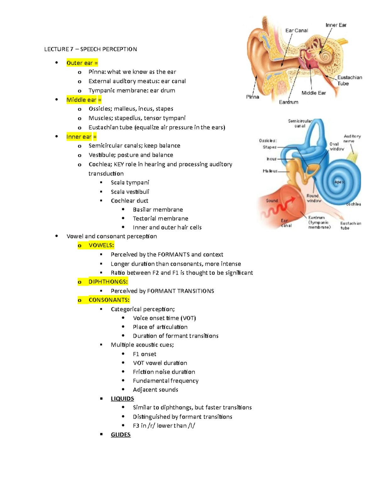Lecture 7 - Some ear anatomy, how we perceive consonants and vowels ...