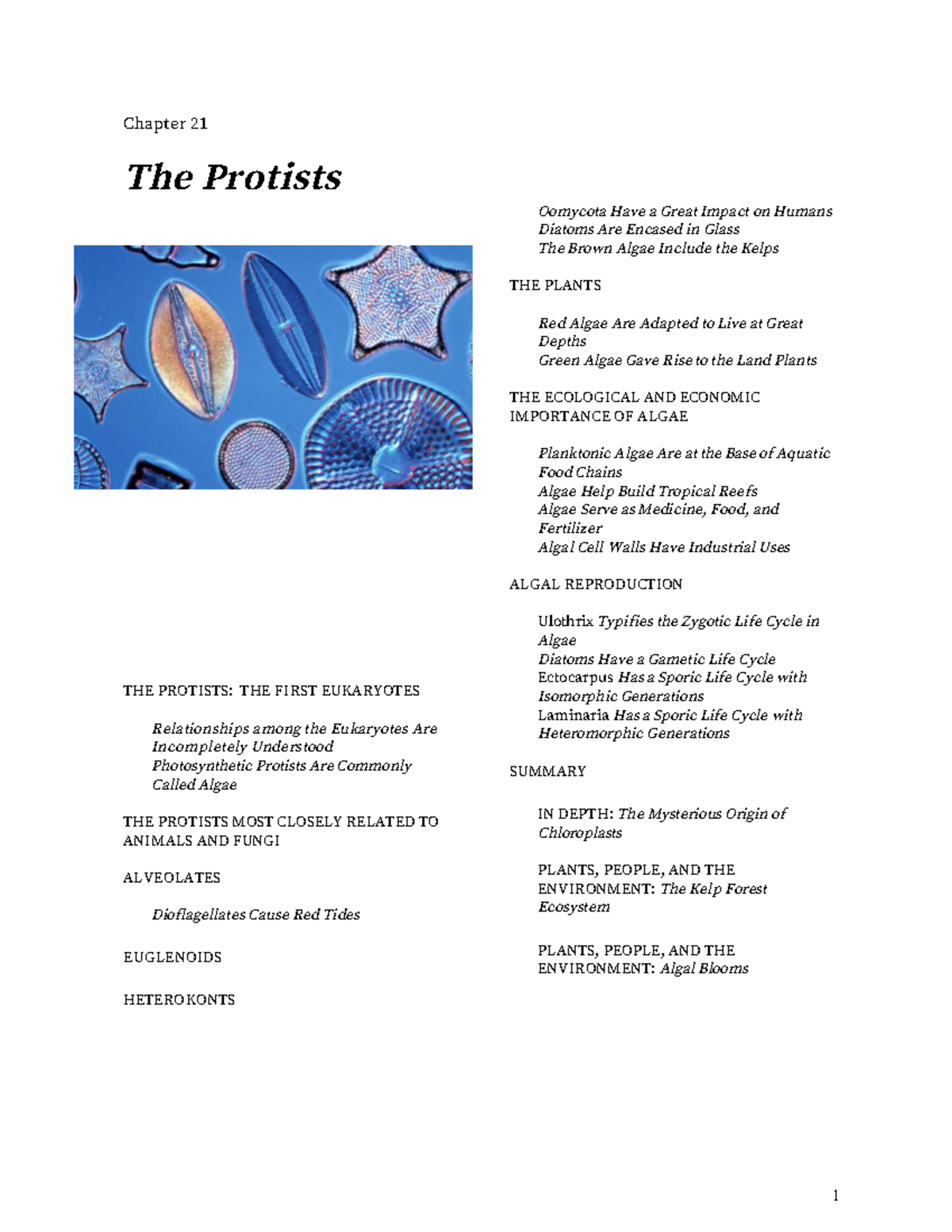 Chapter 21nf - notes - Chapter 21 The Protists THE PROTISTS: THE FIRST ...