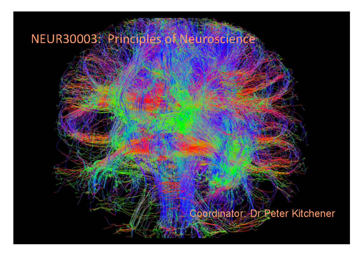 Lect1 why have a nervous system - NEUR30003: Principles of Neuroscience Coordinator: Dr Peter ...