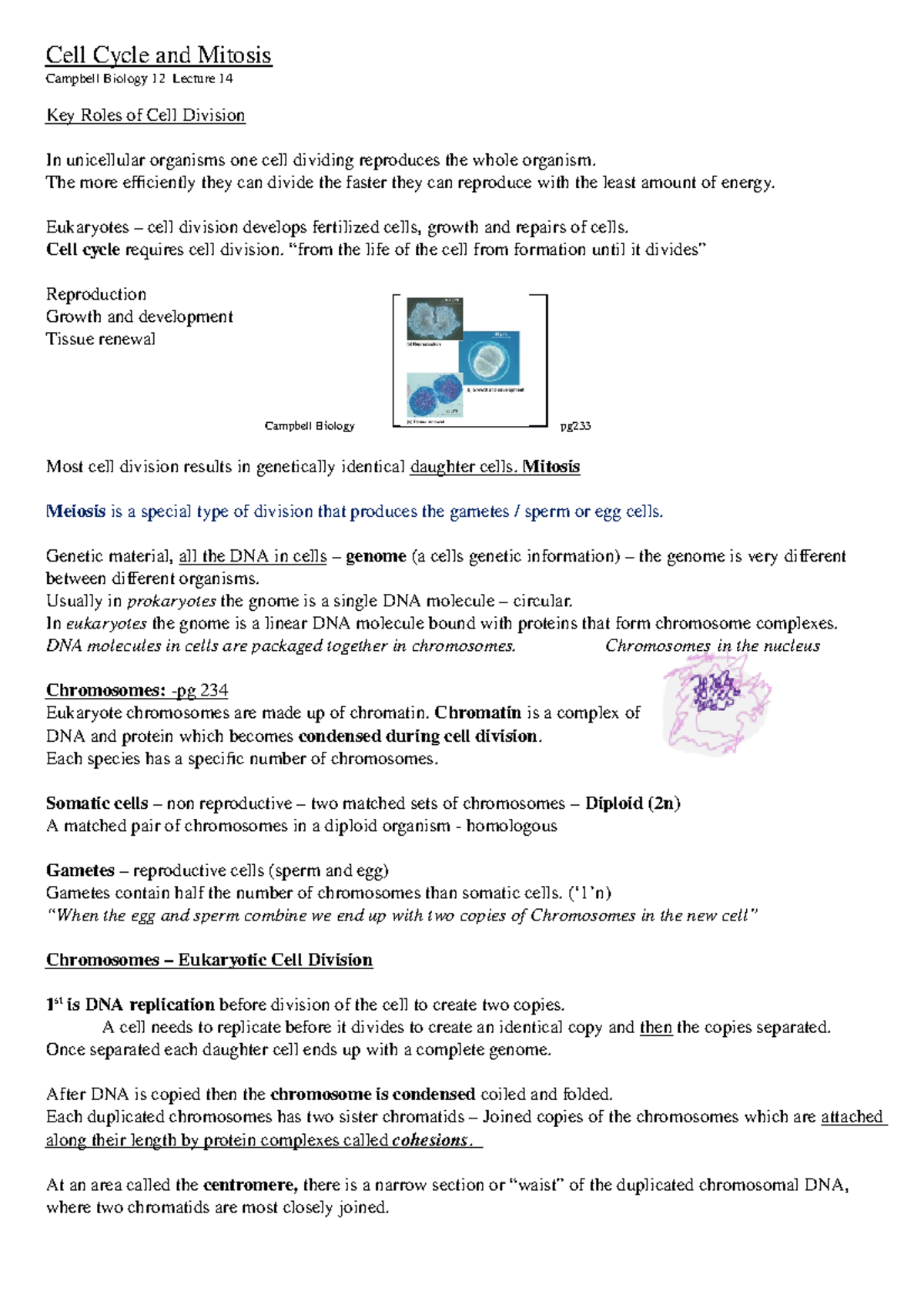 Cell Cycle Mitosis part 1 - Cell Cycle and Mitosis Campbell Biology 12 ...