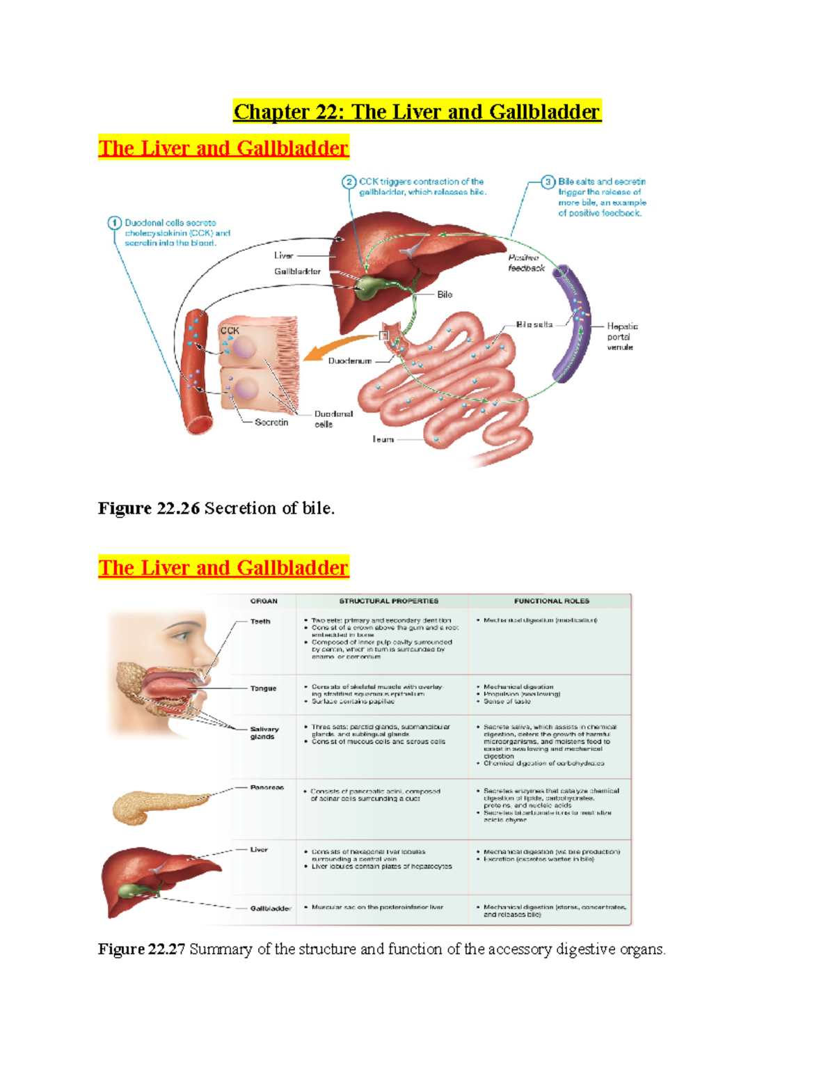 Chapter 22 31 - Mr. Aguilar Class - Chapter 22: The Liver and ...
