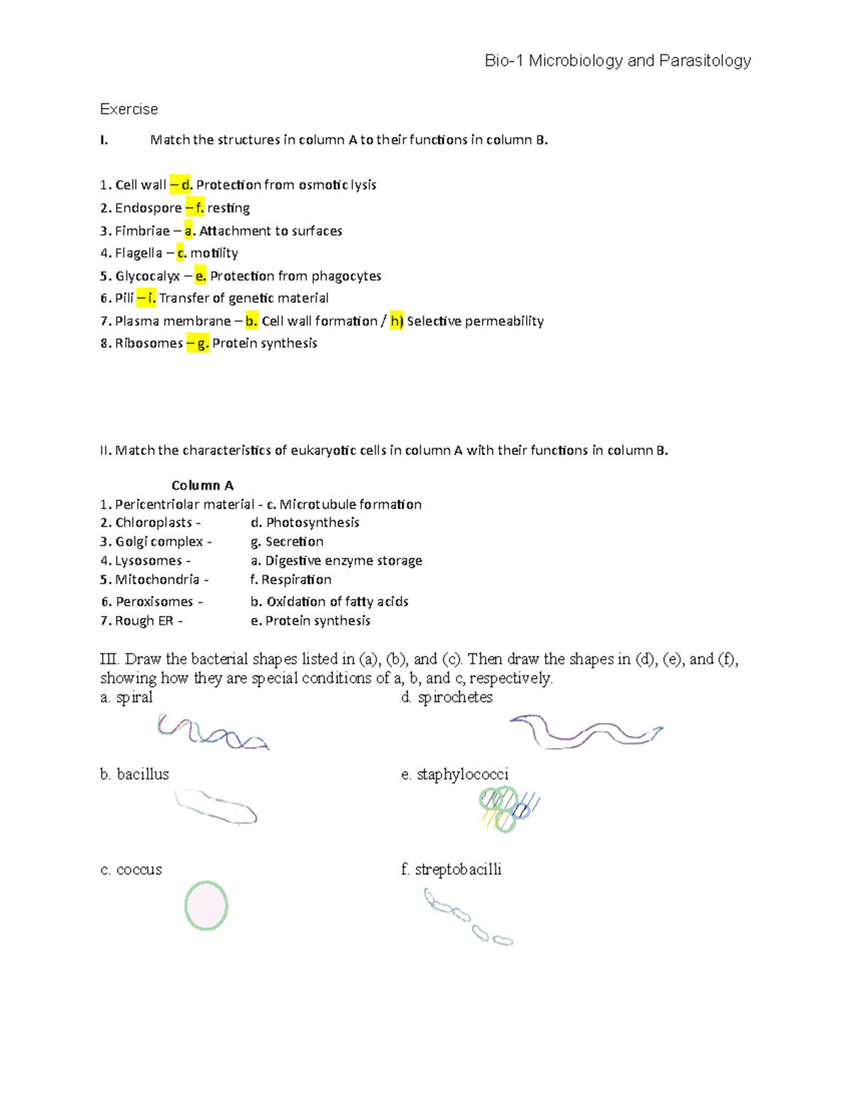 BIO1 - Microbiology and Parasitology - Exercise I. Match the structures in column A to their ...