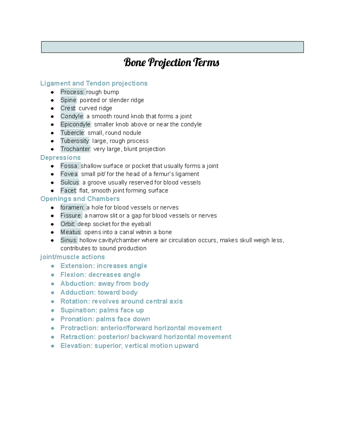 Bone projections - Bon Projectio Term Ligament and Tendon projections ...