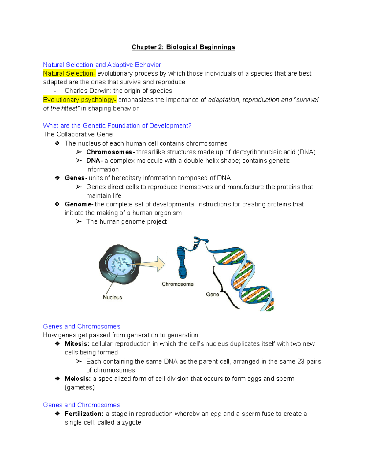 page 1- chapter 2 biological beginnings - Chapter 2: Biological ...