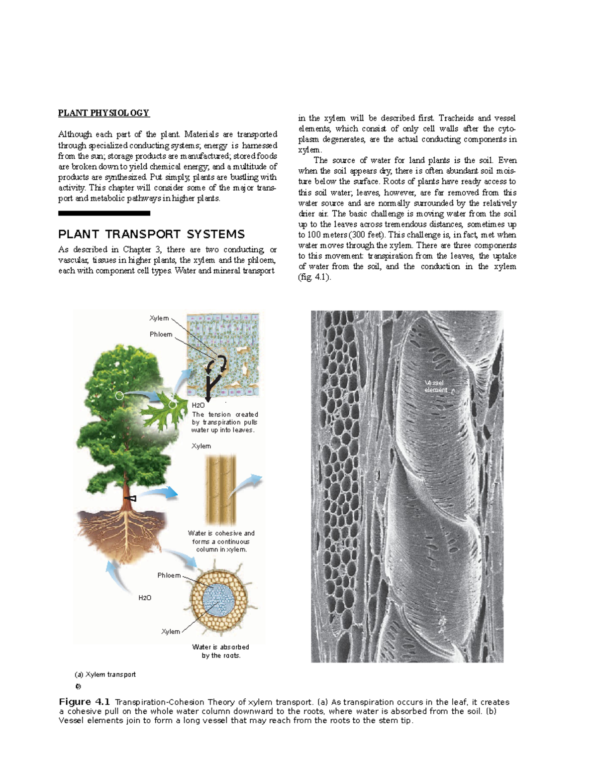 Plant Physiology - PLANT PHYSIOLOGY Although each part of the plant ...