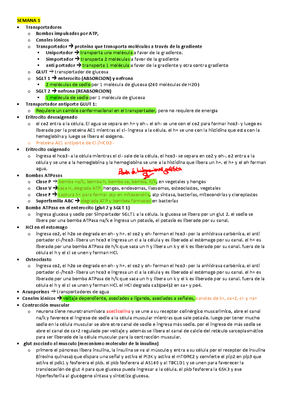 Resumen Ciclo - SEMANA 1 " Transportadores o Bombas impulsadas por ATP ...