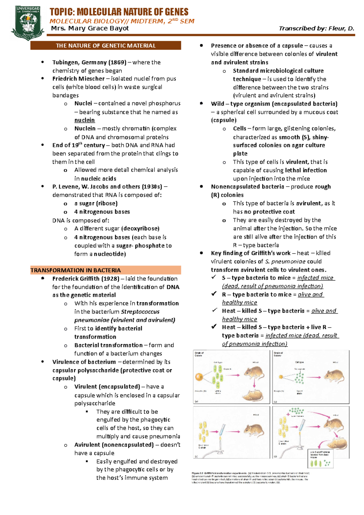 Molecular biology 2 - Molecular Nature of Genes - TOPIC: MOLECULAR ...