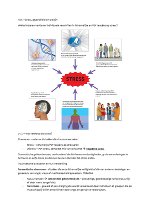 Gehele persoon perspectief - Perspecieven vanuit de gehele persoon a ...