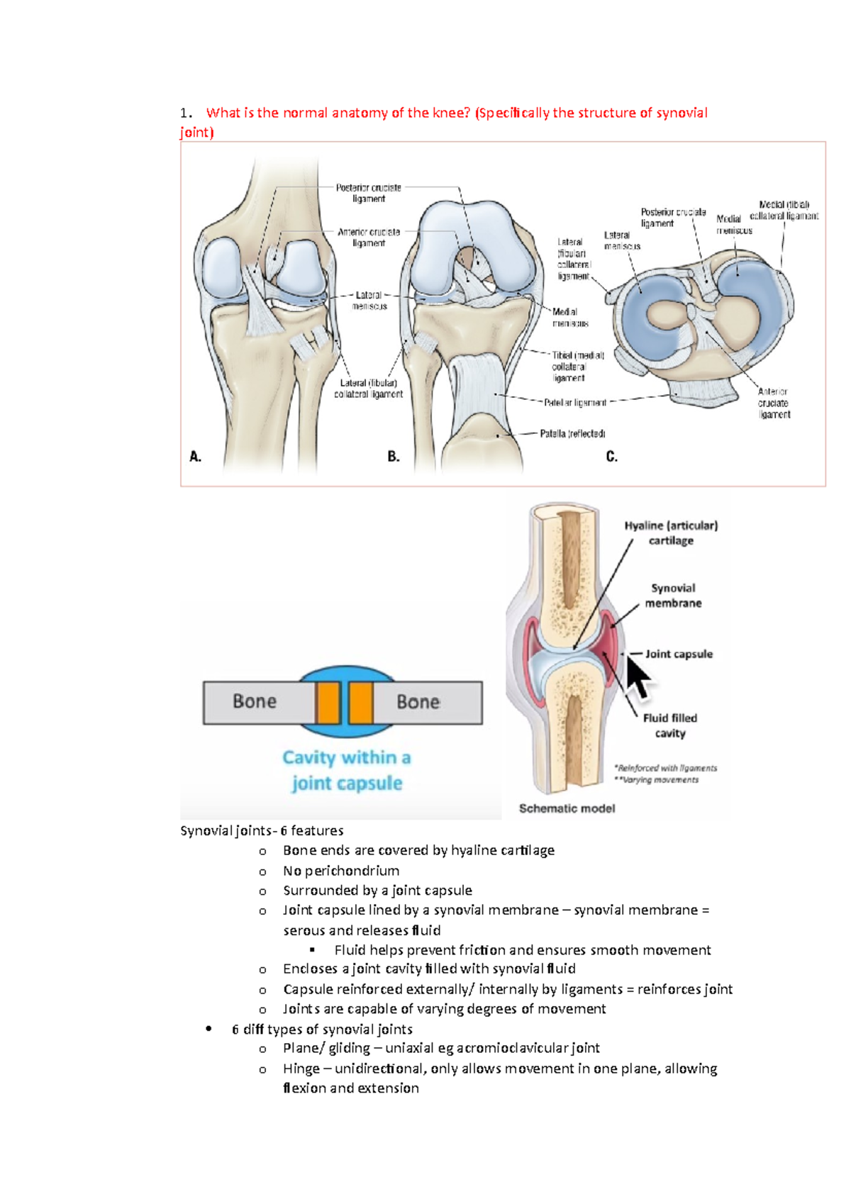 Ilo unit 5 case 1 - blood vessels - What is the normal anatomy of the ...
