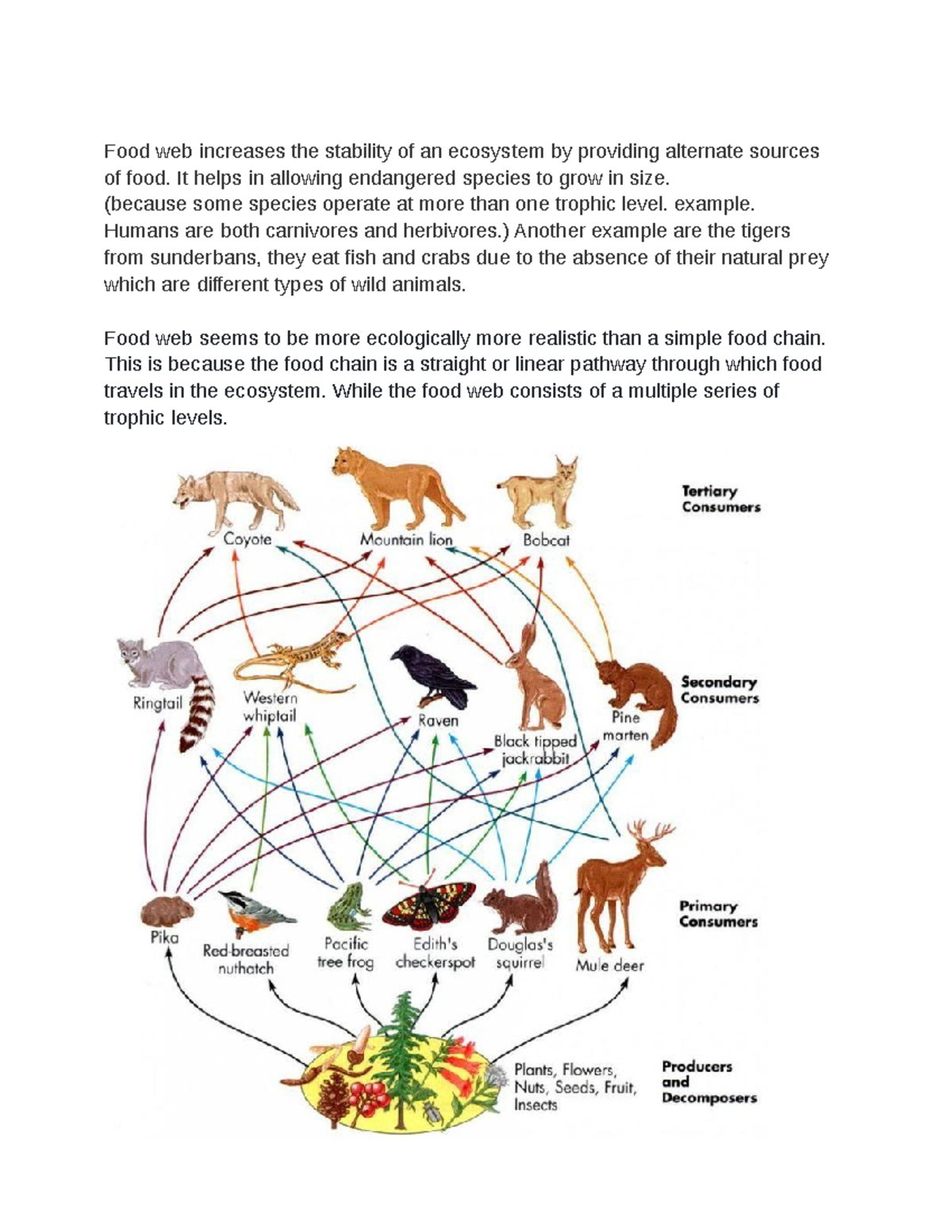 Food-Web CONCEPTS OF ENVIRONMENTAL SCIENCE - Food web increases the ...