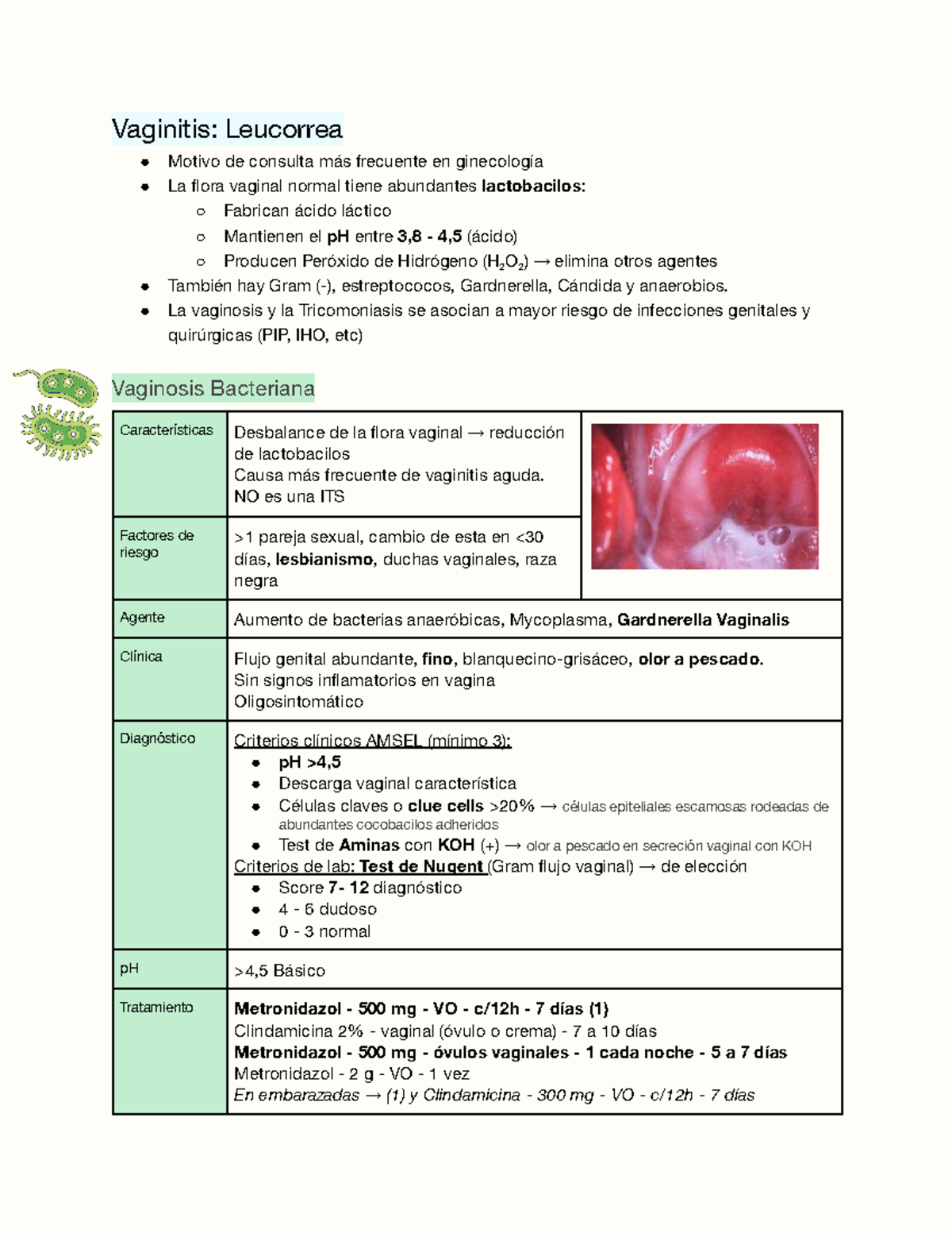 Leucorrea, Vaginitis y Cervicitis - Vaginitis: Leucorrea Motivo de ...