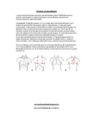 Esquema VIA Respi TTKK - clase - RUIDOS : CR AF (Crepitos) RRB (Soplo ...