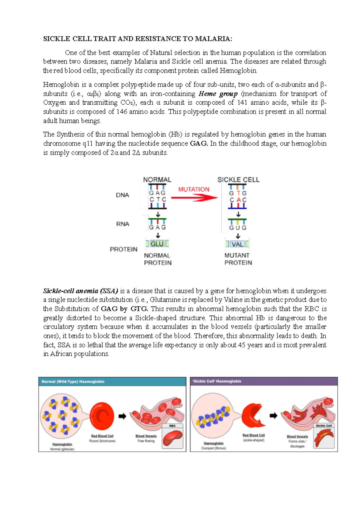 Sickle CELL Trait AND Resistance TO Malaria - SICKLE CELL TRAIT AND ...