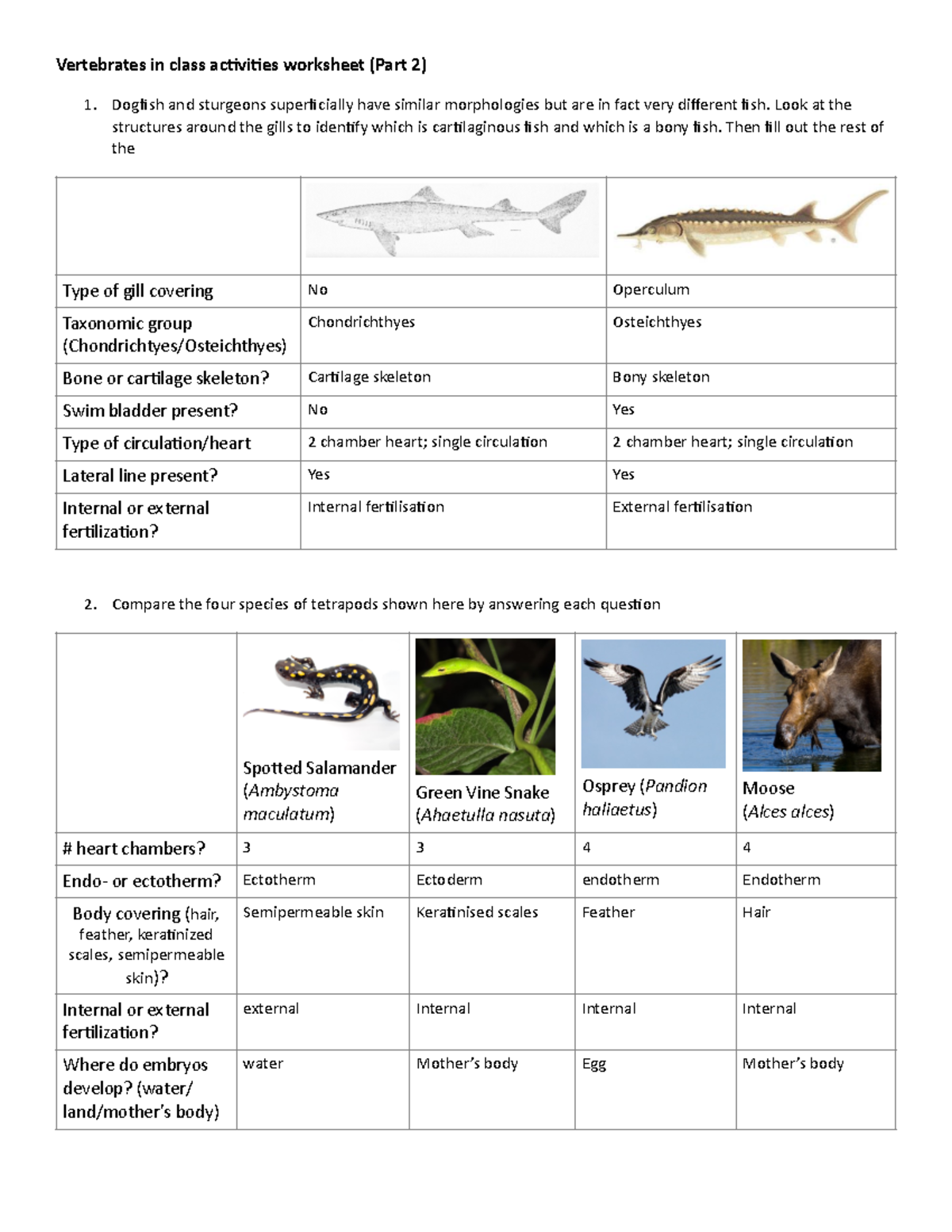 Vertebrates in class activities Part 2 student worksheet - Warning: TT ...