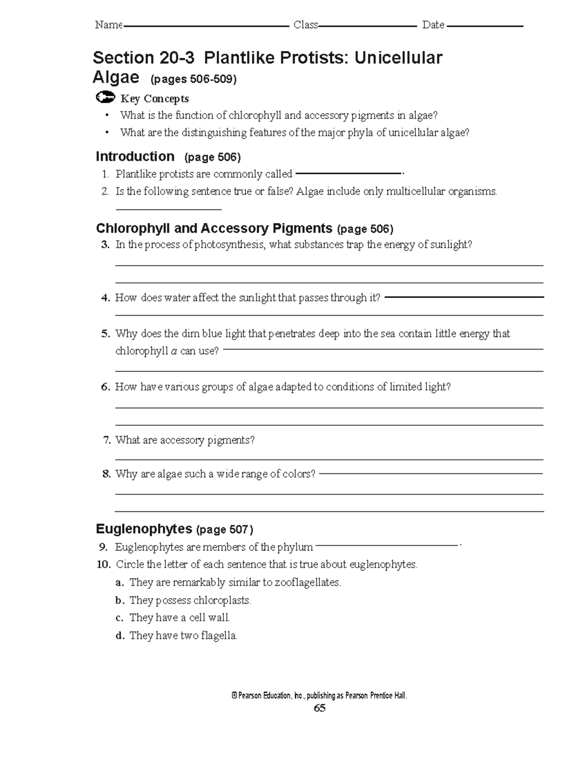 Brgs6203 - Sample Activities - Name Class Date Section 20-3 Plantlike ...