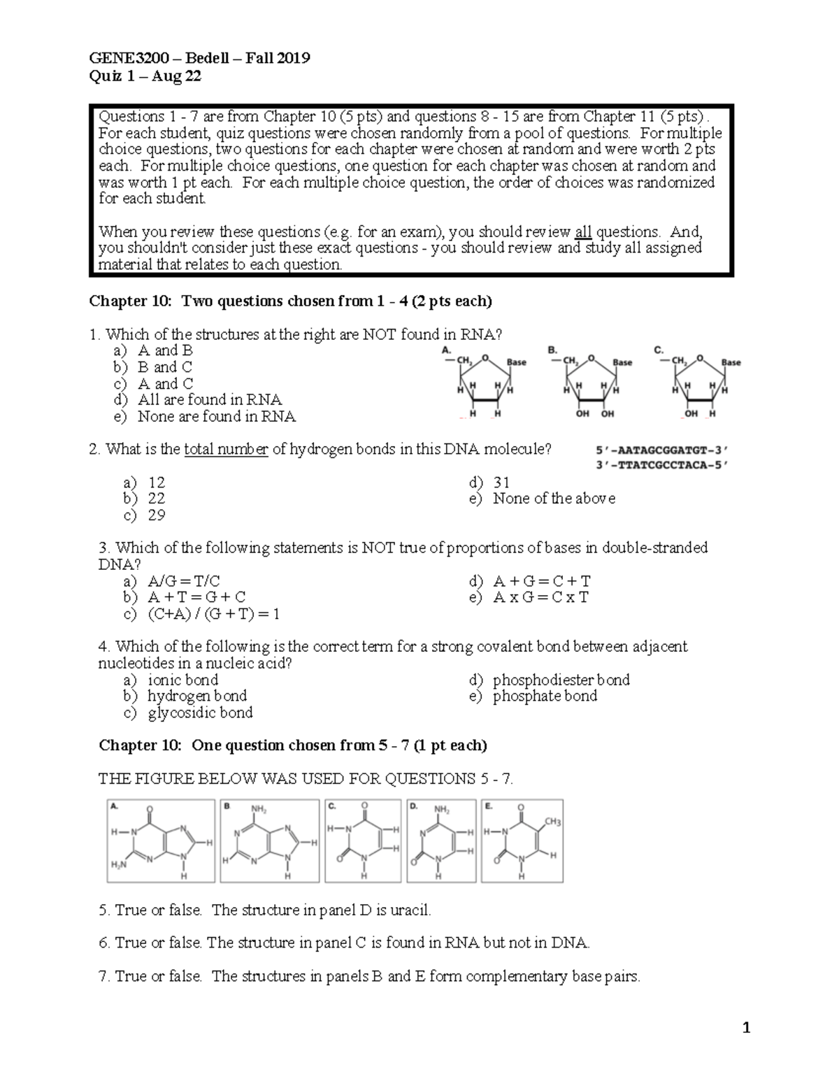 Quiz1 Dna Chromosomes 082219 Warning Tt Undefined Function 32 Gene3200 Bedell Fall 2019