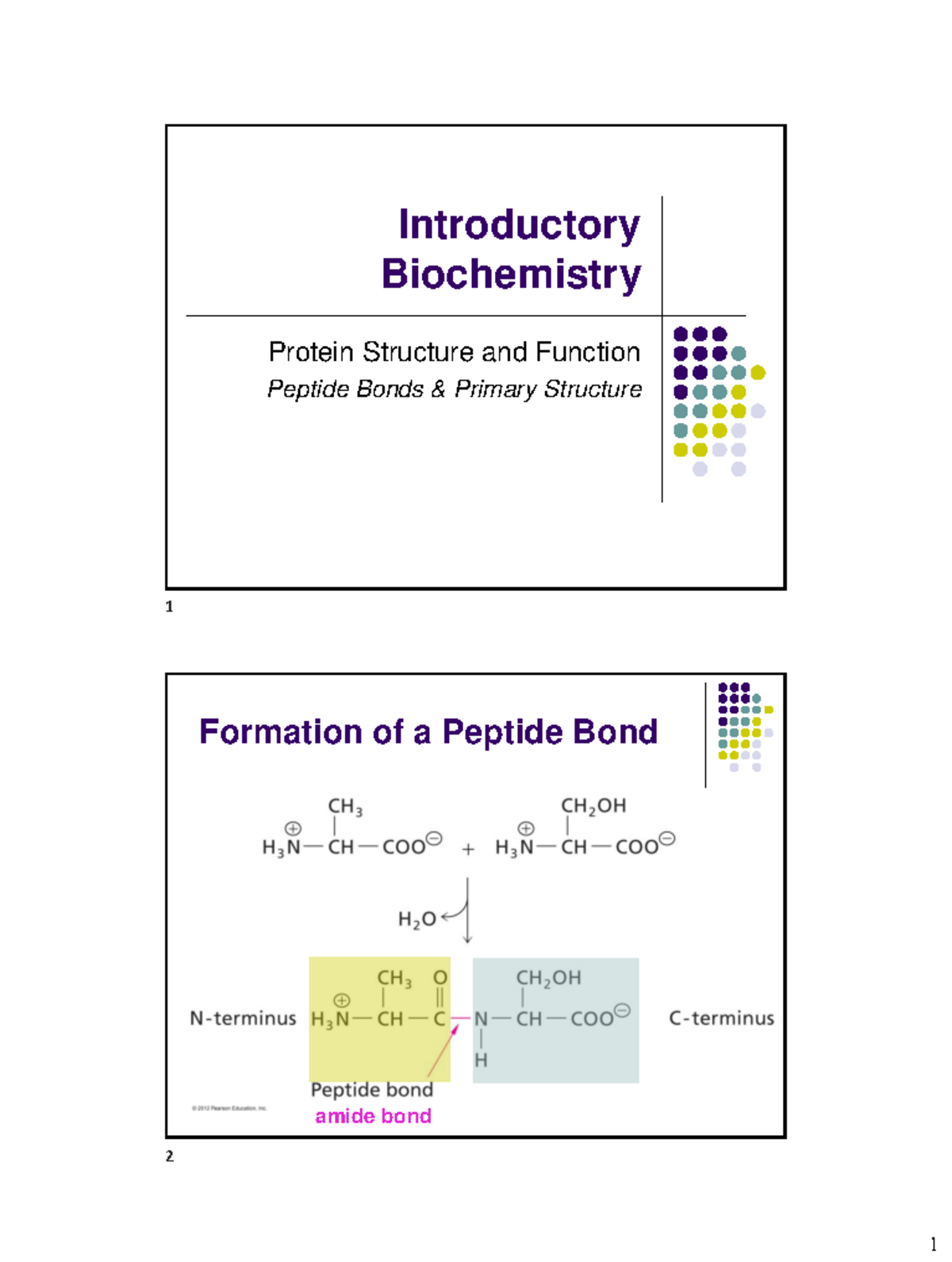3B - Lecture Notes for Protein_Structure_PartB (BIOCH 200 ...