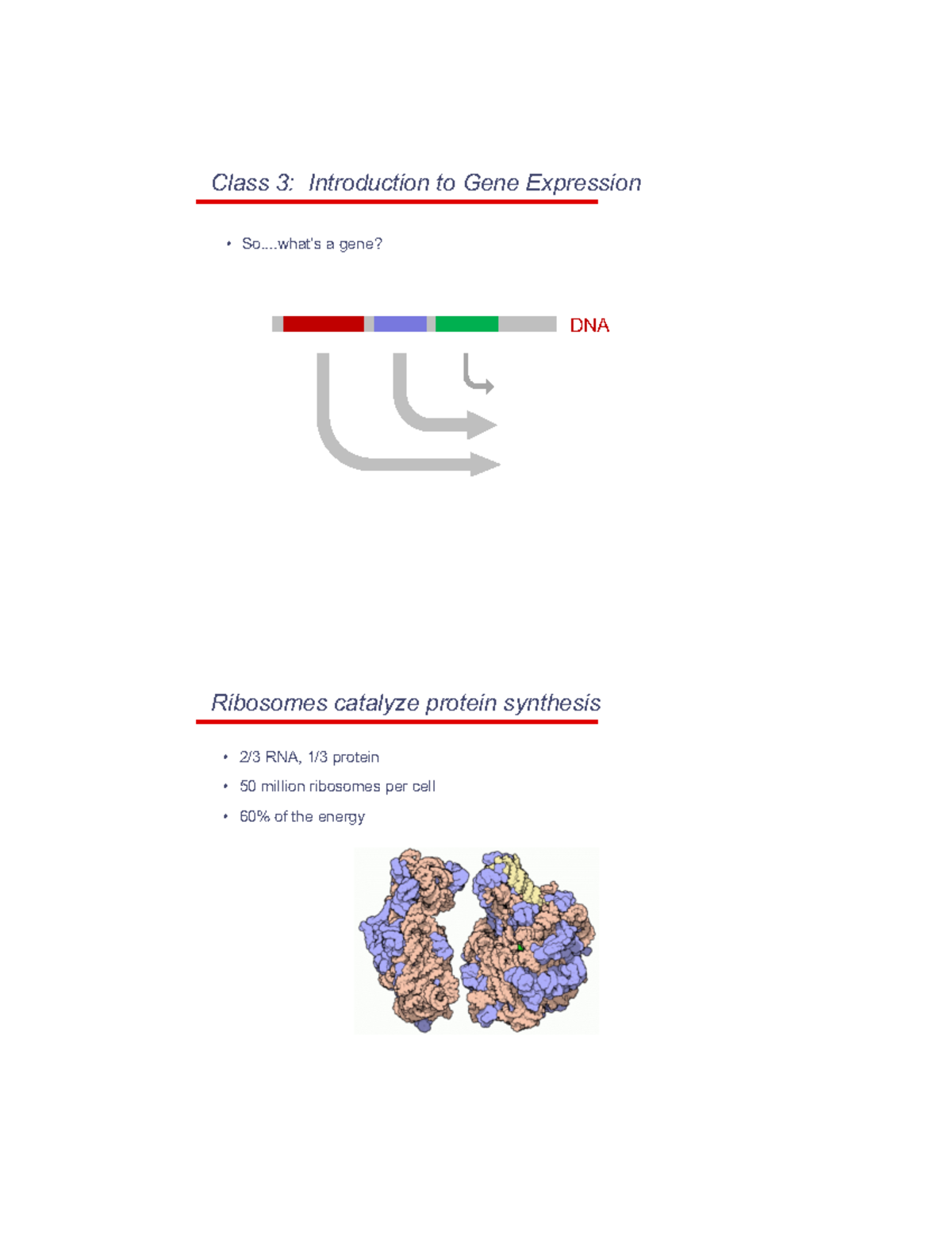 Class 3 Notes-2 - Maxwell Lecture notes - • So...’s a gene? Class 3 ...