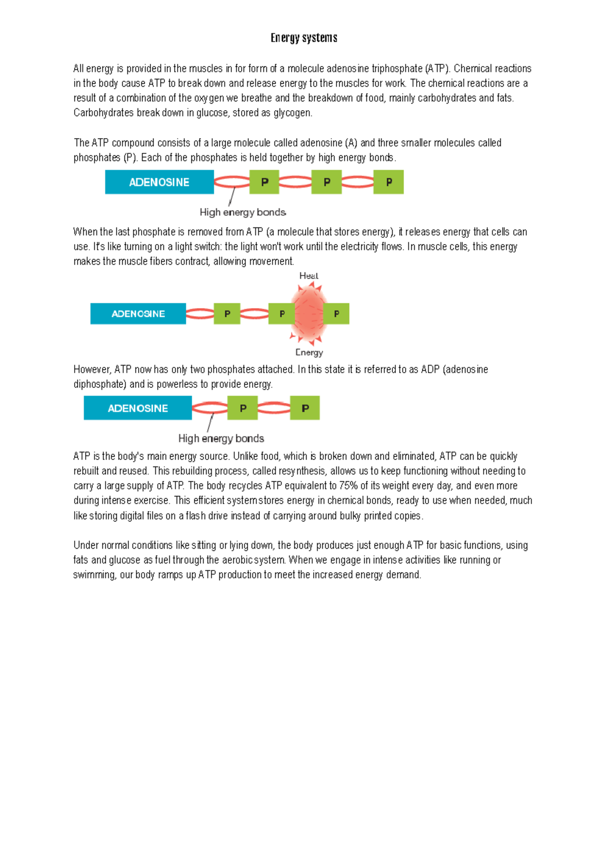 Energy systems - PDHPE - Energy systems All energy is provided in the ...
