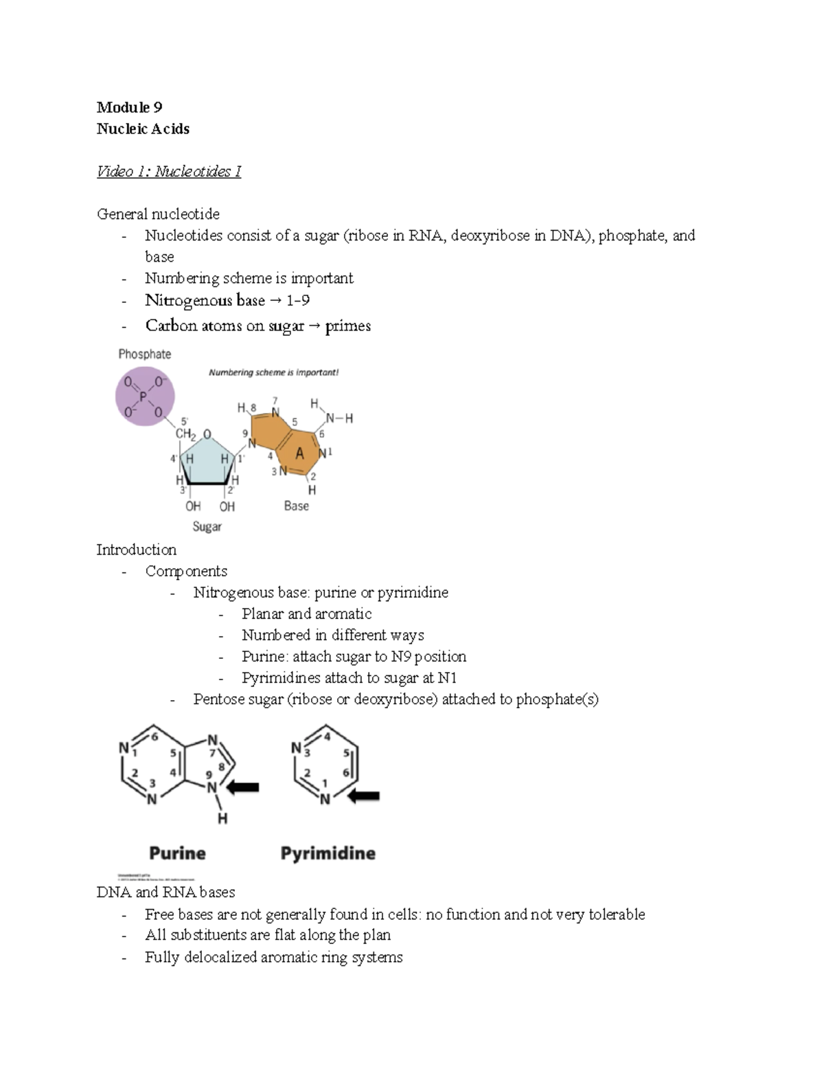 Biochem Video Notes 6-9 - Module 9 Nucleic Acids Video 1: Nucleotides I ...