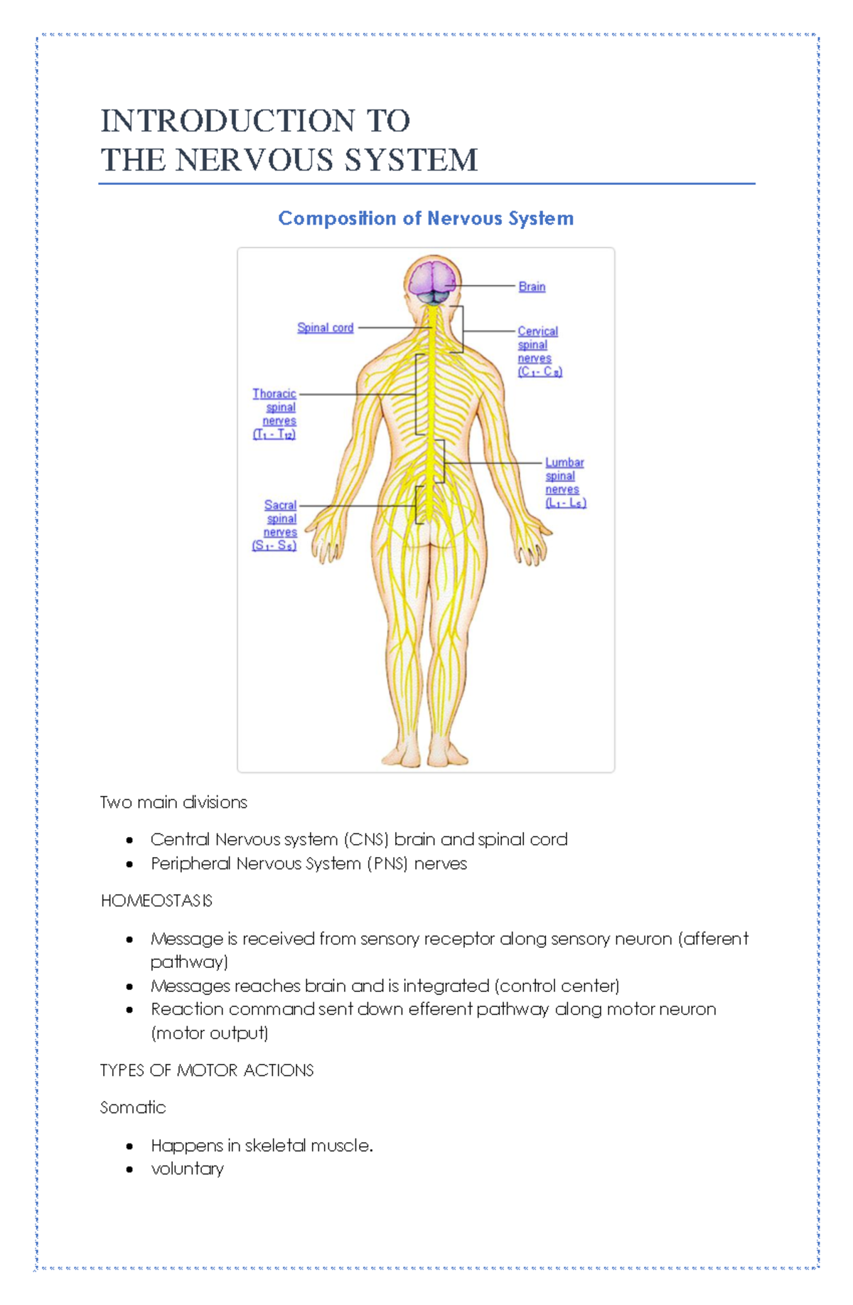 Anatomy and Physiology: An Introduction to the Nervous System ...