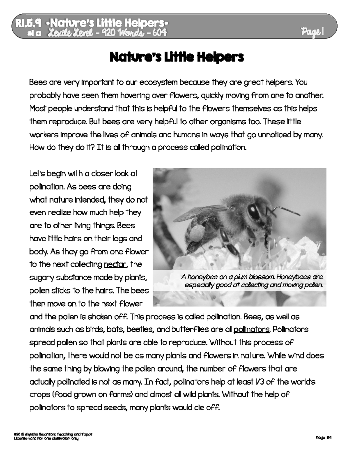 Edward Hettel - RI.5.9.1 Natures little helpers - RI.5 •Nature's Little ...