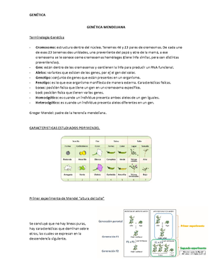 Pgem t and pgem t easy vector systems quick protocol - RápidoPROTOCOLO ...