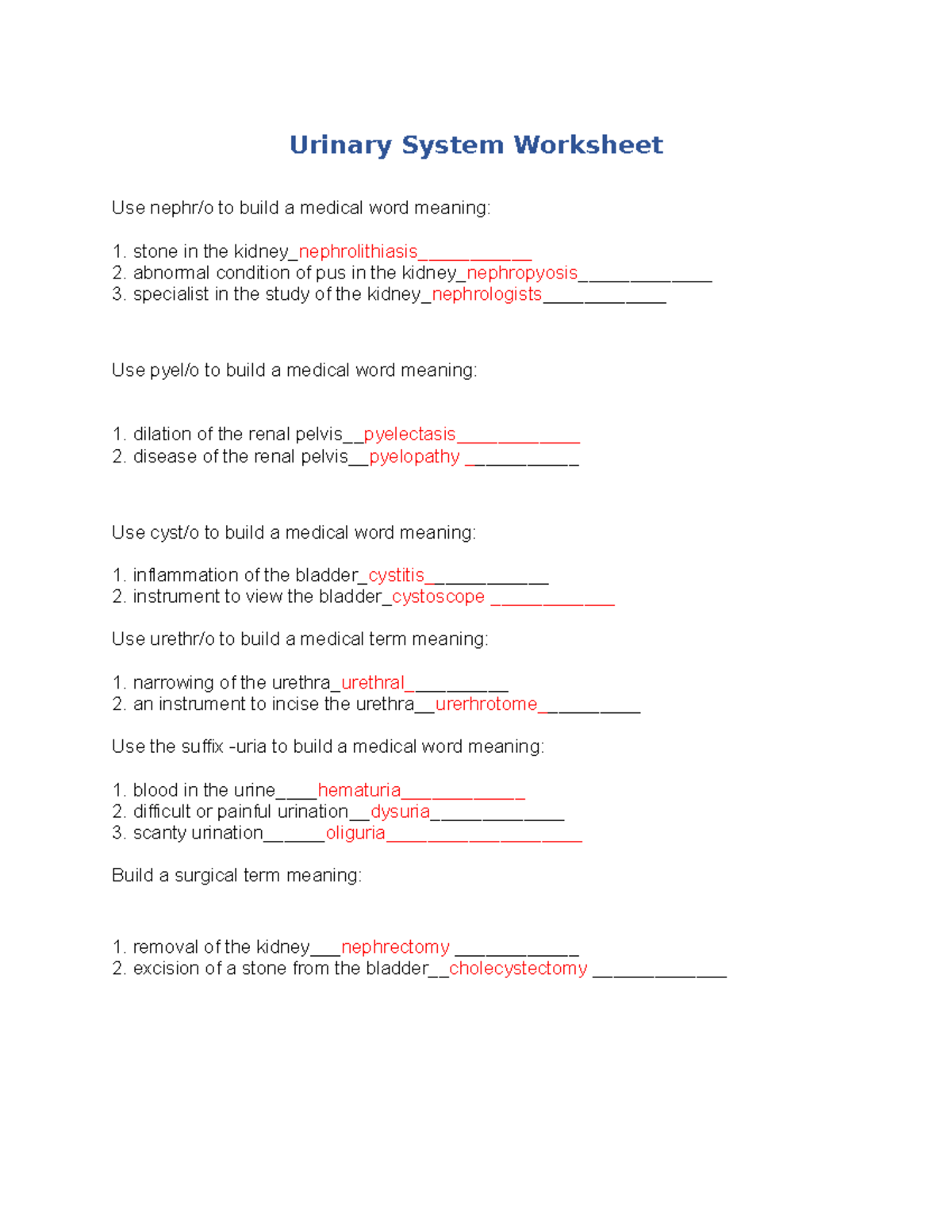 Urinary System Worksheet - instrument to view the bladder_cystitis ...