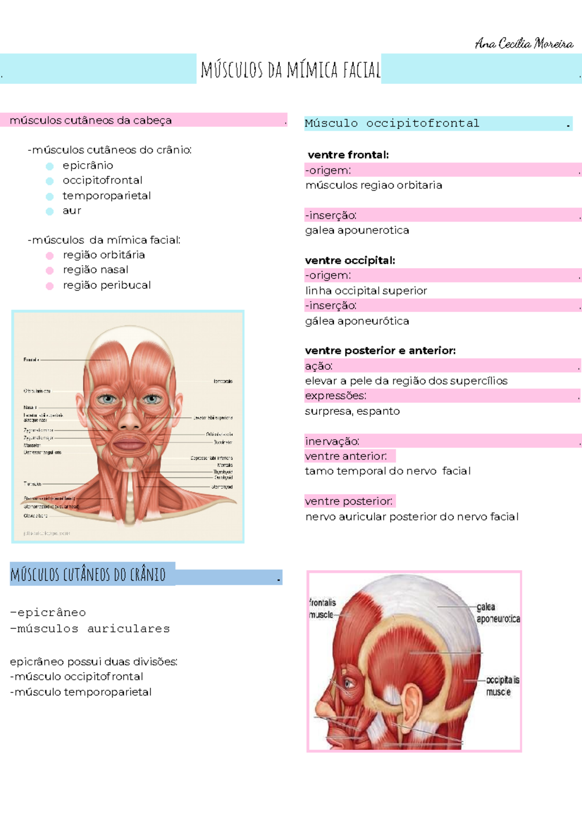 Músculos da mimica facial - músculos da mímica facial. músculos ...