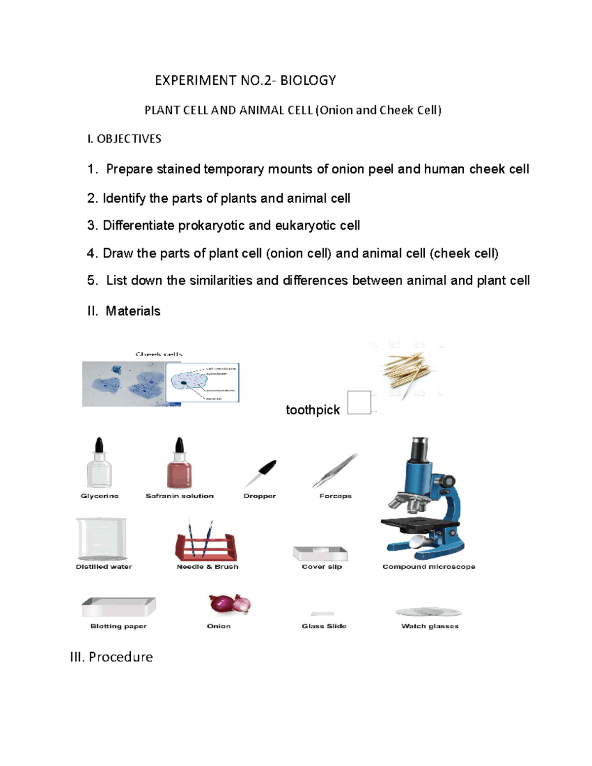 BIOLOGY ACTIVITY - EXPERIMENT NO- BIOLOGY PLANT CELL AND ANIMAL CELL ...