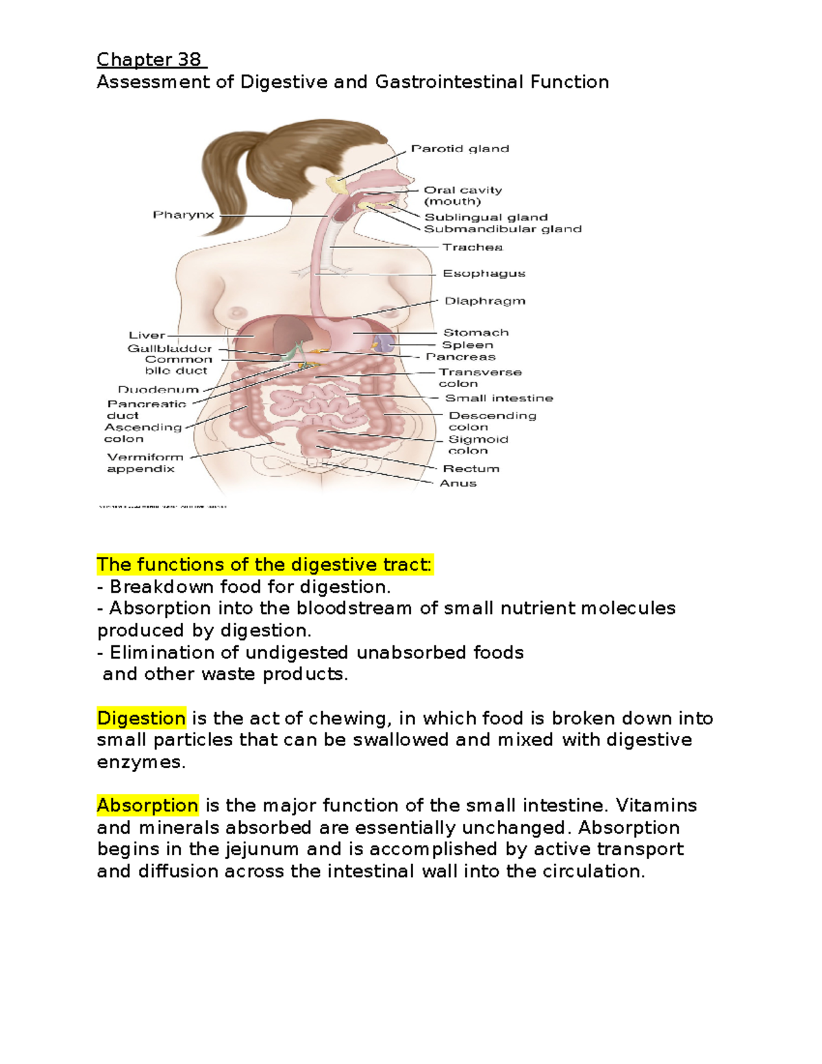 Chapter 38 - NOTES - Assessment of Digestive and Gastrointestinal ...